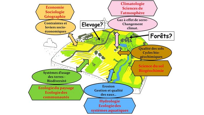 Agrosystème, agroécosystème — Les Mots de l'agronomie